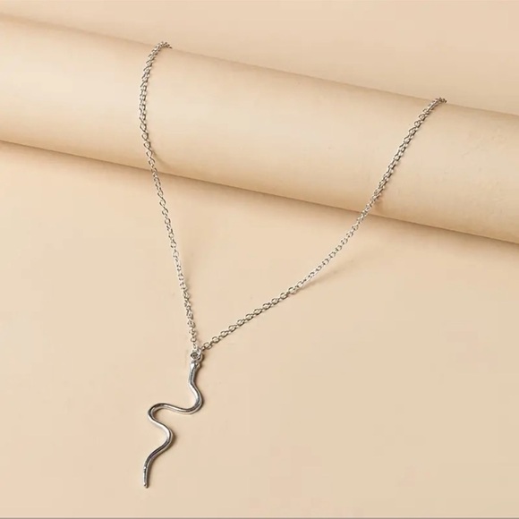 Jewelry | New Silver Snake Pendant Necklace | Poshmark